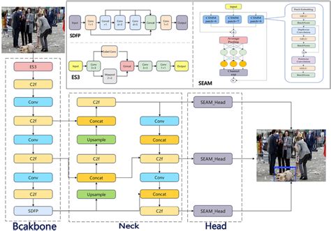 Structure Of The Sdes Yolo Model Download Scientific Diagram
