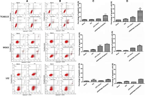 Cellular Apoptosis Assays After Plasmid Transfection A Cells