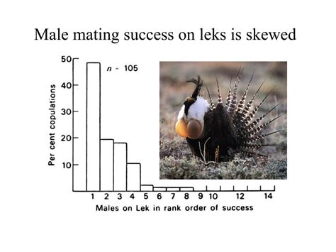 Ppt Mating Systems Ii Powerpoint Presentation Free Download Id9318689