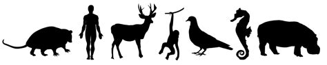 Chapter 11 Sex Ratios Introduction To The Evolution And Biology Of Sex
