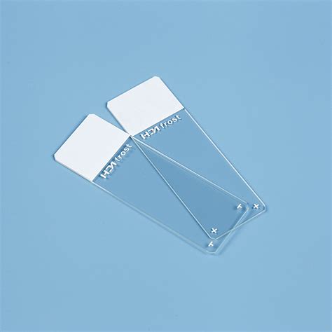 Positive Charged Microscope Slides Buy Positive Charge Slide