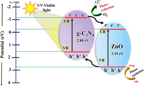 Schematic Representation Of Photocatalytic Performance Of 75 Wt