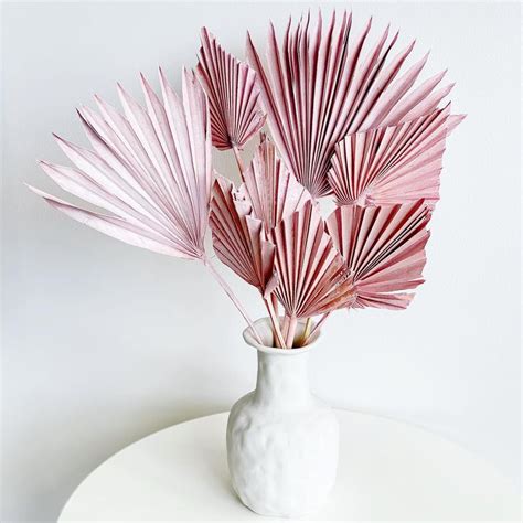 Blush Pink Palm Fans For Stylish Home Decor