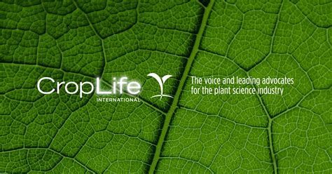 Amit Jaiswal Posted On Linkedin