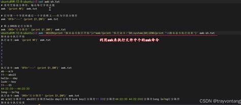 linux awk命令详解 参数 选项 内置变量 内置函数 脚本 多图、多示例 csdn博客