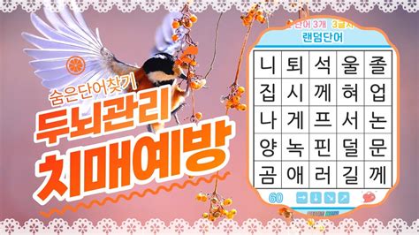 치매는 노력으로 예방 가능합니다 숨은단어찾기 치매예방 퀴즈 초성퀴즈 단어퀴즈 두뇌운동 뇌건강 치매테스트 기억력 집중력 강화 재밌는 퀴즈 Youtube