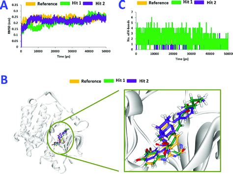 molecular dynamics simulation results obtained during 50 ns a the