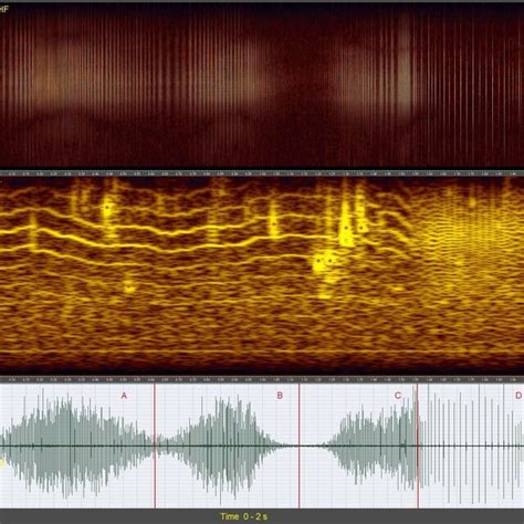 Spectrogram And Time Display Of A Harbour Porpoise Click Train The