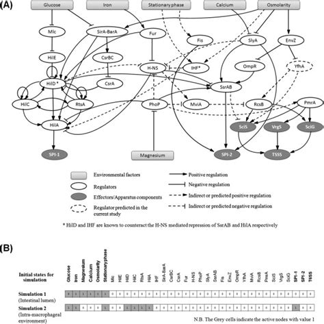 Spi 1 Spi 2 And T6ss Regulatory Network A Constructed Gene