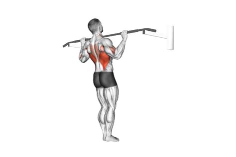 تمرینات زیر بغل با نحوه اجرا تمرینات موج کوه