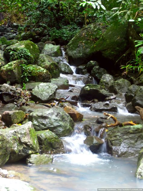 Conquering Pico De Loro 664 MASL Schadow1 Expeditions A Travel And Mapping Resource For The