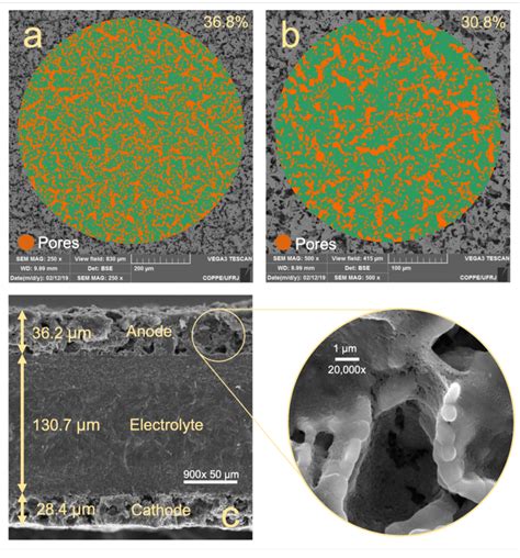 Scanning Electron Micrographs Of The Impregnated Anode Surface