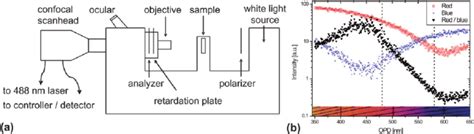 A Schematic Drawing Of Laser Scanning Confocal Microscopy And