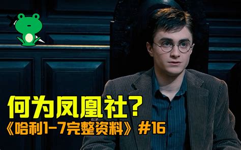 【细品哈利16】清晰梳理，信息最冗长的凤凰社 耐人寻味的佩妮姨妈 青蛙刀圣1993 青蛙刀圣1993 哔哩哔哩视频