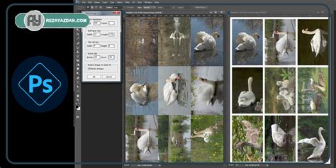 ترکیب چند عکس برای چاپ در فتوشاپ قدم به قدم رضا یزدان