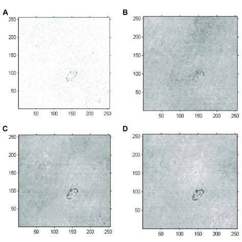 phase reconstruction based holographic image for model 3 using the