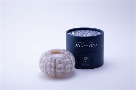 Unimaru Pictures 株式会社ウサギノネドコ Unimaru Pictures 株式会社ウサギノネドコ