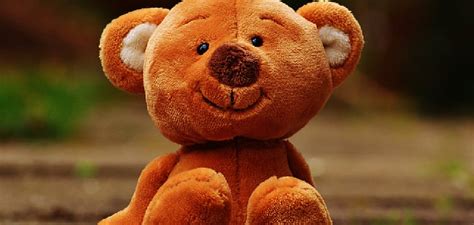 How to Ship Plush Toys | 5 Outstanding Steps (2025)
