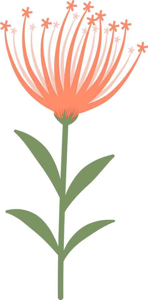 Spring Flower Element 18825379 Png