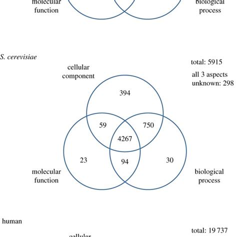 GO Aspect Coverage Of Budding Yeast Fission Yeast And Human Proteins Download Scientific