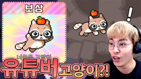 캣점프에 새로운 유튜버고양이가 나타났다 Youtube