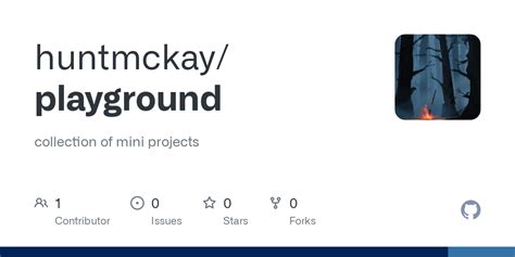 Github Huntmckay Playground Collection Of Mini Projects