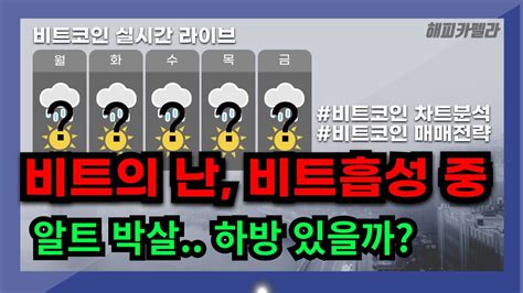 비트코인 실시간 비트의 난 비트 흡성 중 56 진입알트 박살 중 618 점심💎비트코인 비트코인실시간 이더리움 리플 Cryptocurrency 차트분석