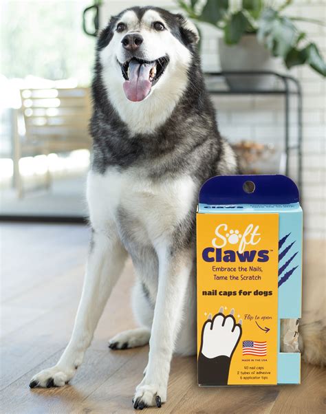 Soft Claws Nail Caps Official Seller In The Uk And Europe