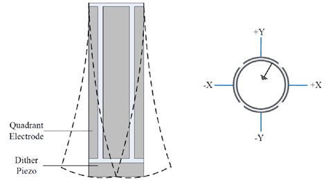 5 Schematic Architecture Of A Tube Piezo Scanner Quadrant Electrodes