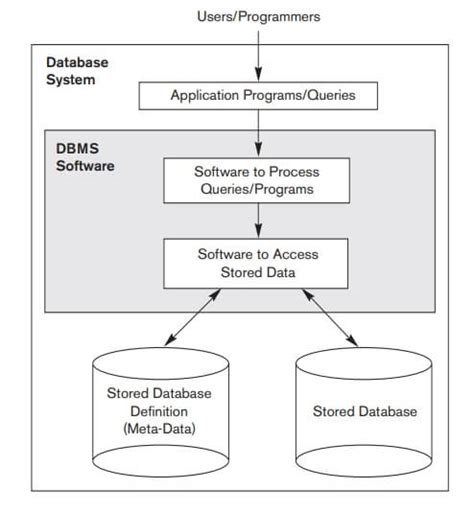 An Example Of Databases And Database Users Pedagogy Zone