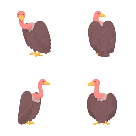Premium Vector Condor Bird Icons Set Cartoon Vector Big Bird Of Prey