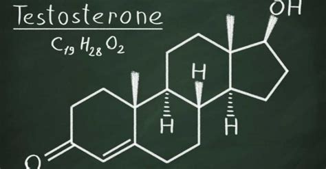 Fakta Tentang Hormon Testosteron Yang Harus Diketahui