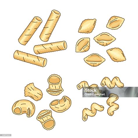 토르티글리오니 콩치글리 파이프 리게이트 카바타피 등 다양한 파스타 모양과 유형 세트 이탈리아 요리의 주요 의 그림 조리되지 않은 파스타의 최고 보기 벡터 그림입니다 국수에