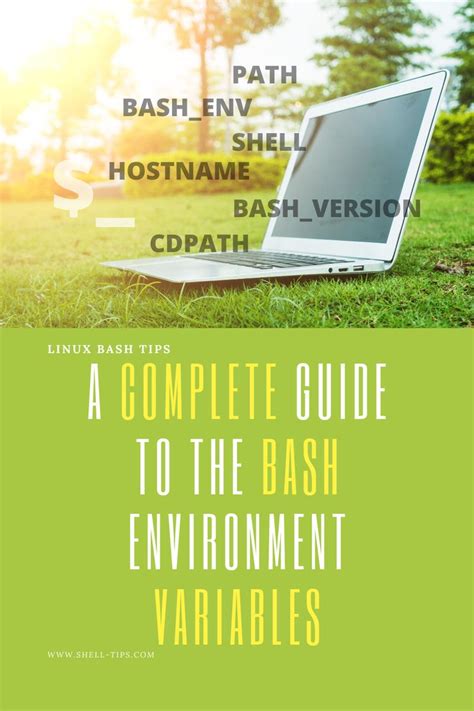 a beginner s guide to linux bash environment variables