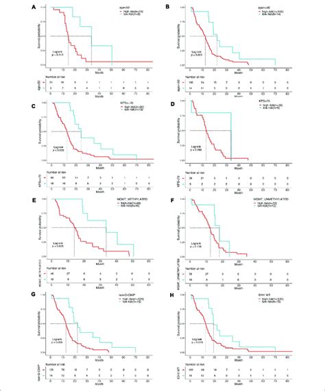 Stratification Analysis By Different Clinical Variables Meier Curve Download Scientific