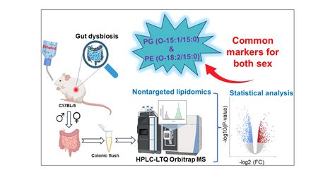 Sex Specific Effect Of Ethanol On Colon Content Lipidome In A Mice