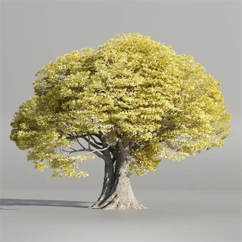 Landscape Tree Vol 165 Blender 3d Turbosquid 2155573