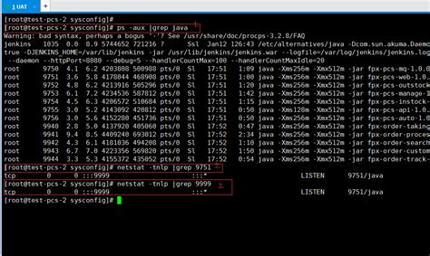 Linux 通过进程pid与端口互查 Csdn博客