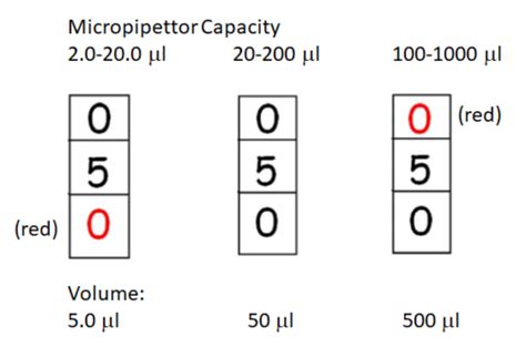 Genetics Lab 5 Flashcards Quizlet