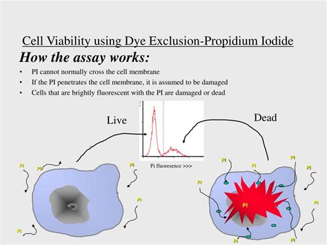 Ppt Fundamentals And Applications Of Flow Cytometry Scott Tighe Flow Cytometry Core Lab At The