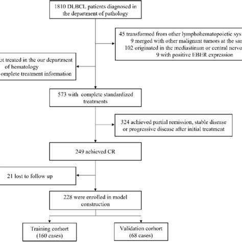 Patient Selection Abbreviations Dlbcl Diffuse Large B Cell Lymphoma Download Scientific