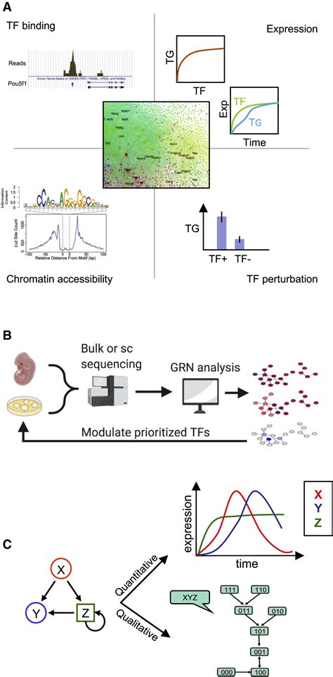 Computational Stem Cell Biology Open Questions And Guiding Principles Cell Stem Cell