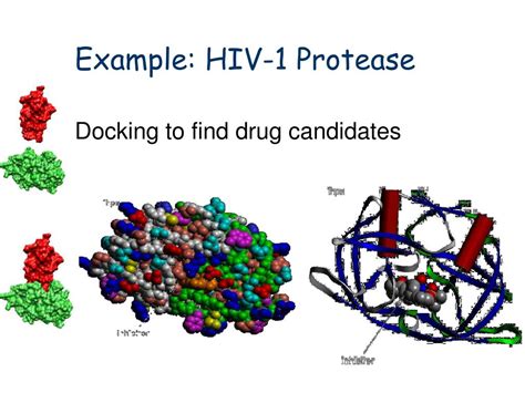 Ppt Two Examples Of Docking Algorithms Powerpoint Presentation Free