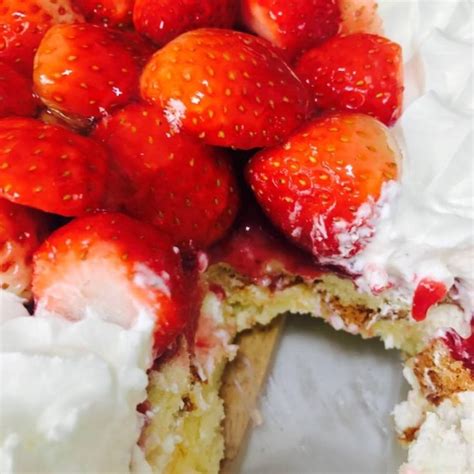 더쿠 코스트코 신상 딸기트라이플 케이크