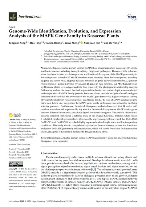 Pdf Genome Wide Identification Evolution And Expression Analysis Of