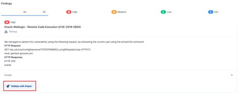 Network Vulnerability Scanner Documentation Pentest Tools Documentation