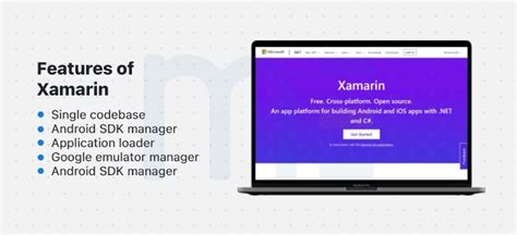 Top Mobile App Development Frameworks A Go To Guide