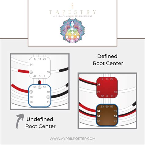 The Undefined Root Center⁠ — Living Matters Human Design