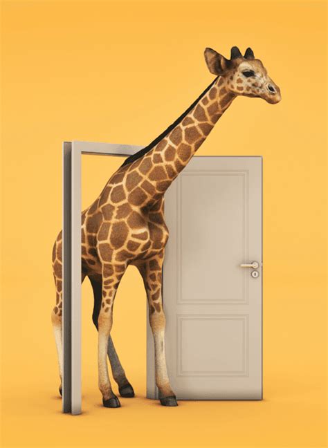 Gelezaapp Best Ai Homework Helper Interactive Pdfs Math Solutions