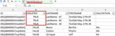 Data Loader Export And Export All Salma Force